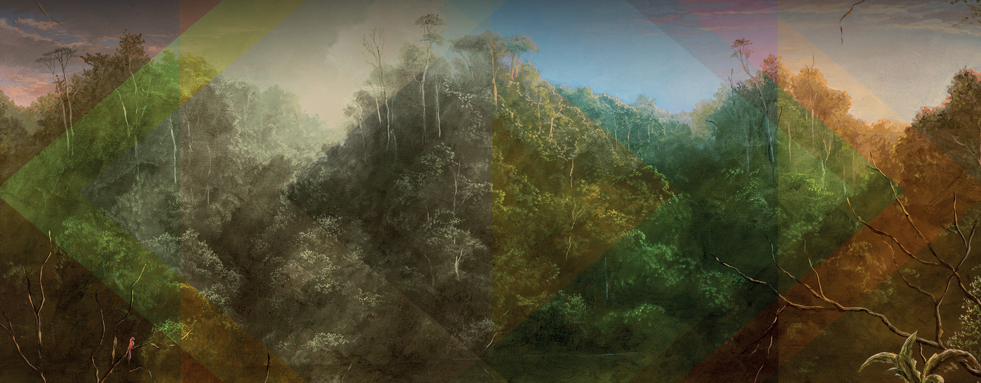 Obras : David Moscoso