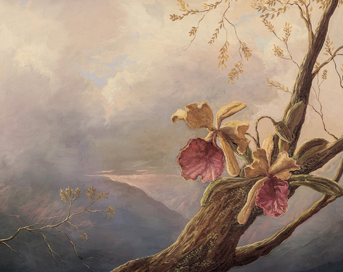 Obras : David Moscoso