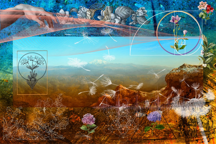 Obras : David Moscoso