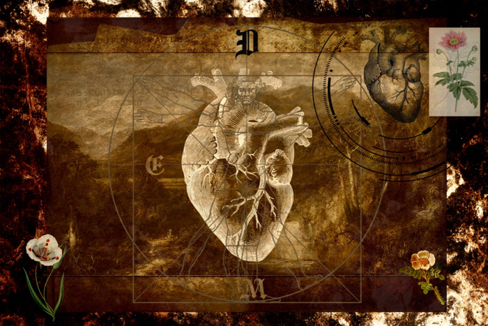 Obras : David Moscoso