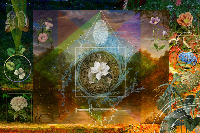 Obras : David Moscoso