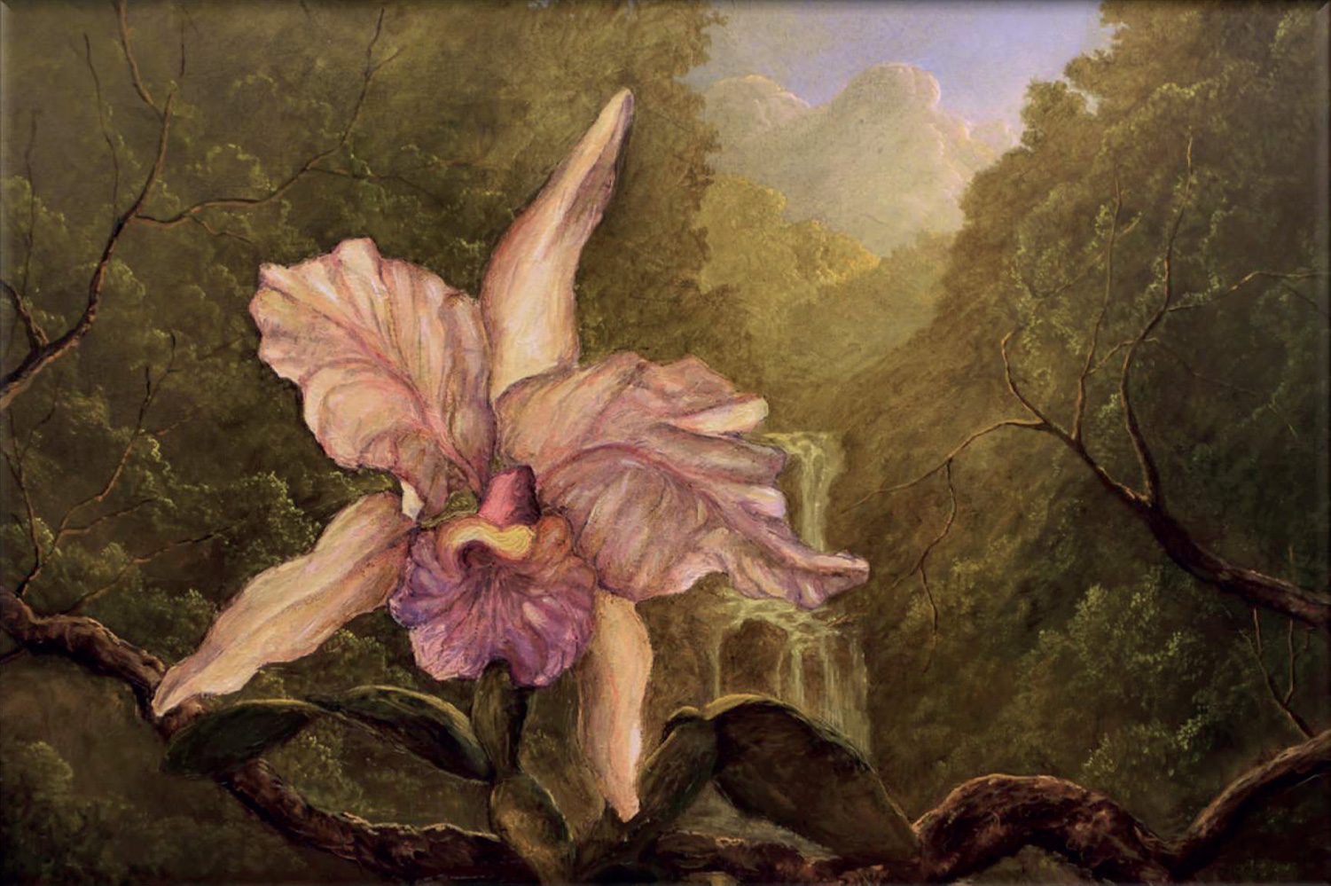 Obras : David Moscoso